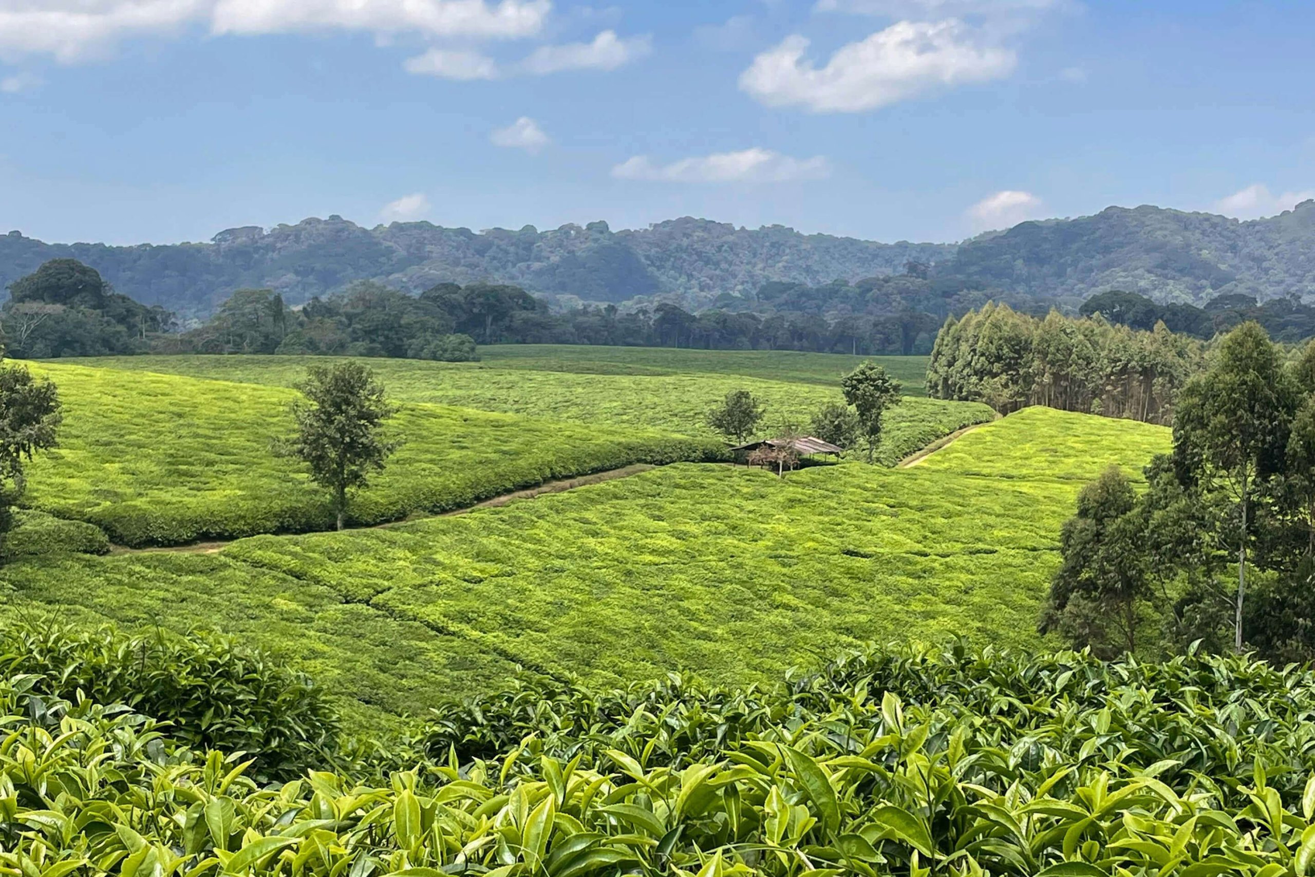 RDB pitches 100 investment projects to investors - PEMANDU Associates